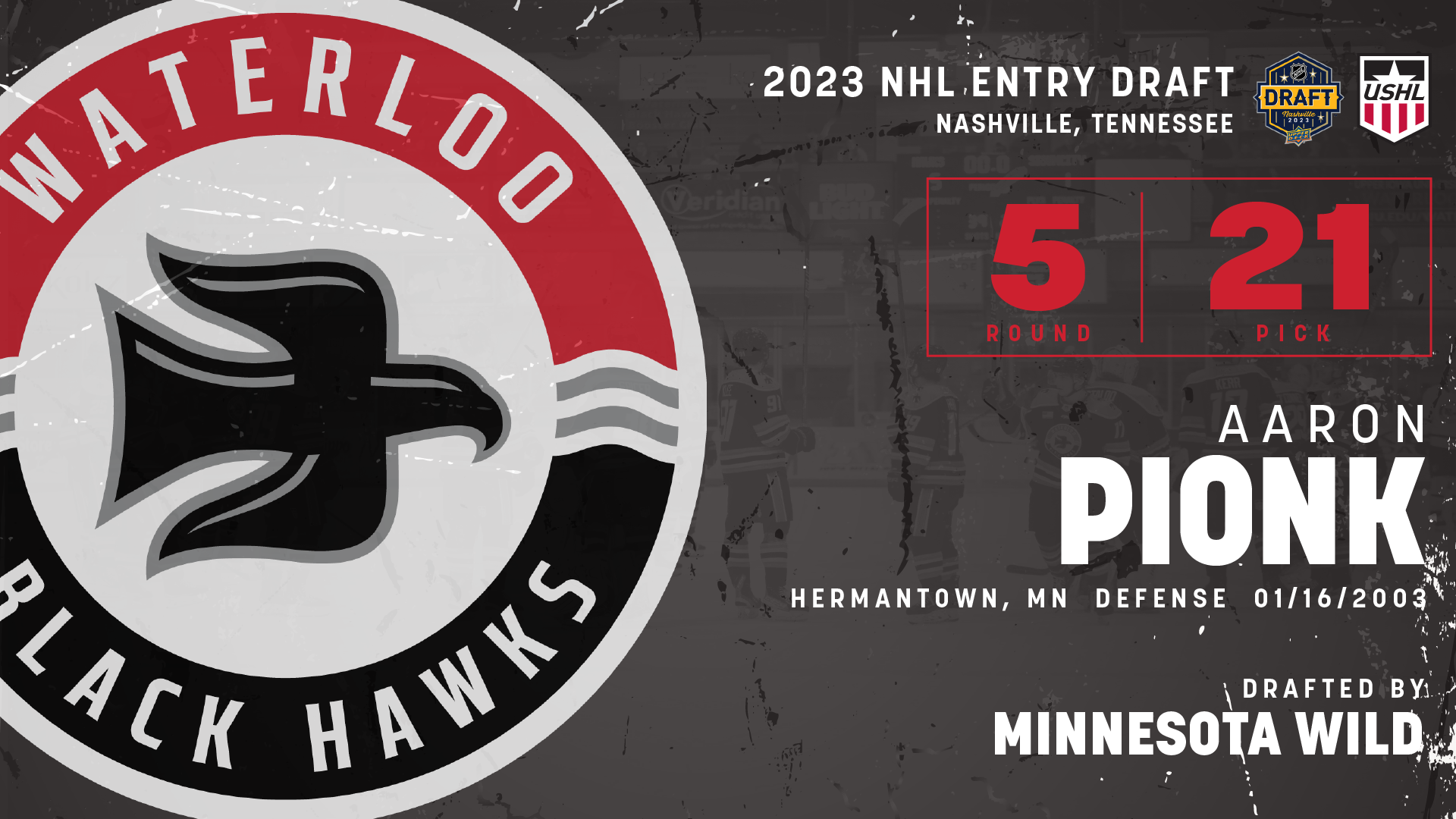 Pionk Proves His Ability - Waterloo Black Hawks