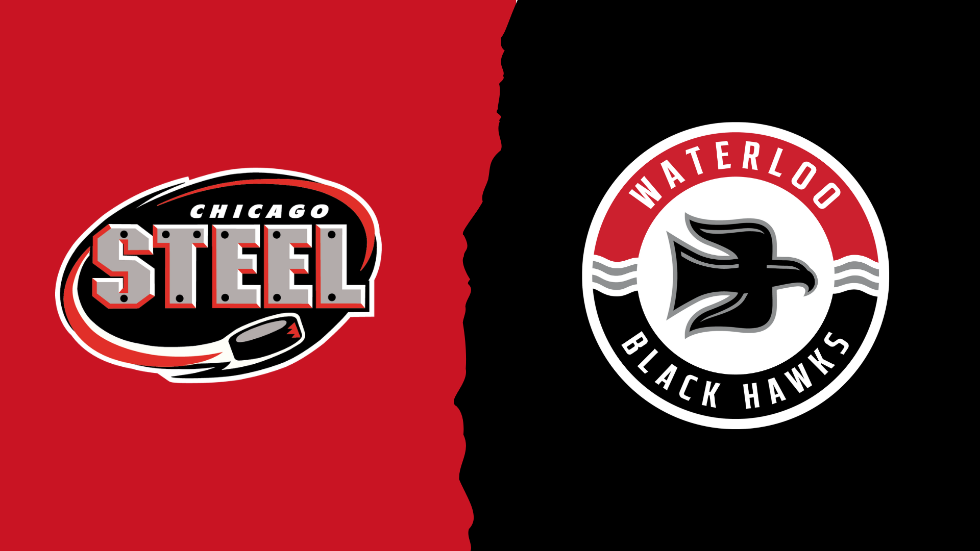 Go Wild, Vinnie Hinostroza! - Waterloo Black Hawks