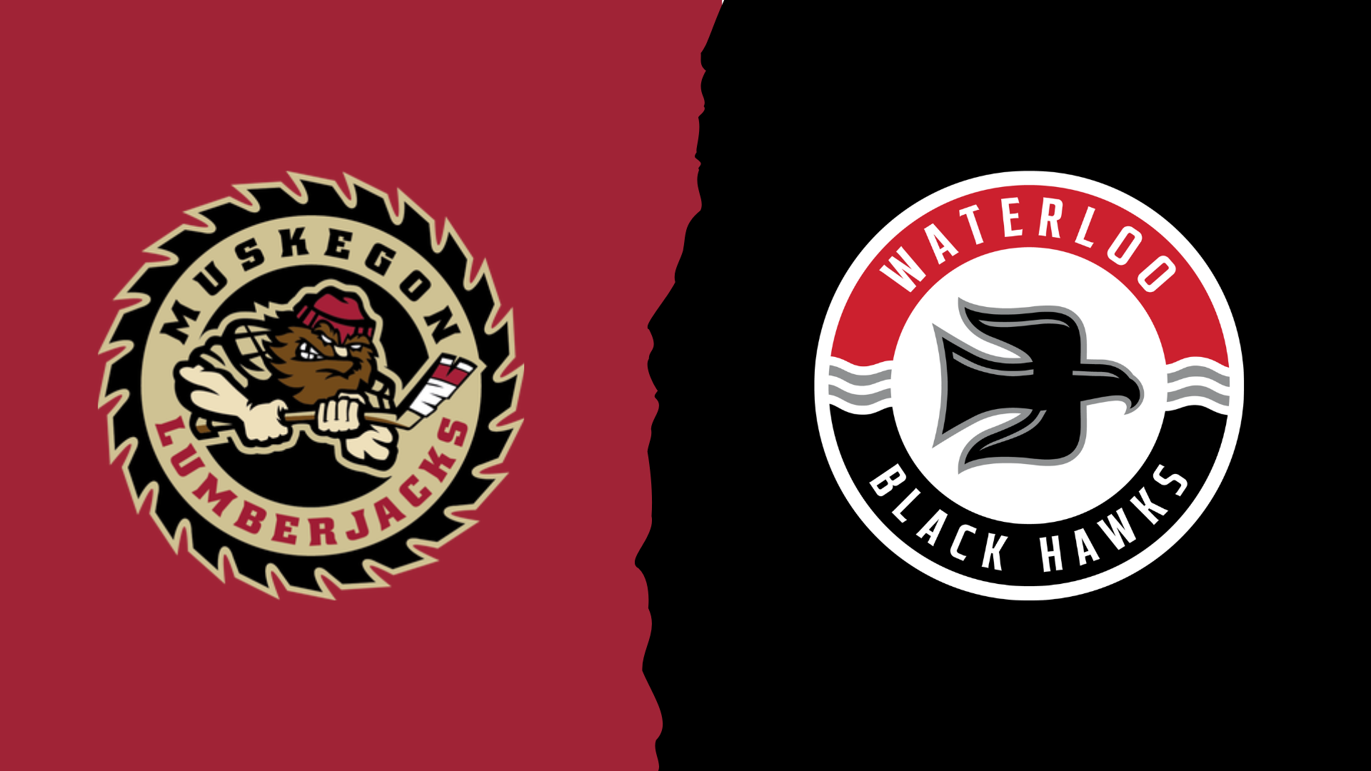 Waterloo Opens Doors for Chyzyk - Waterloo Black Hawks