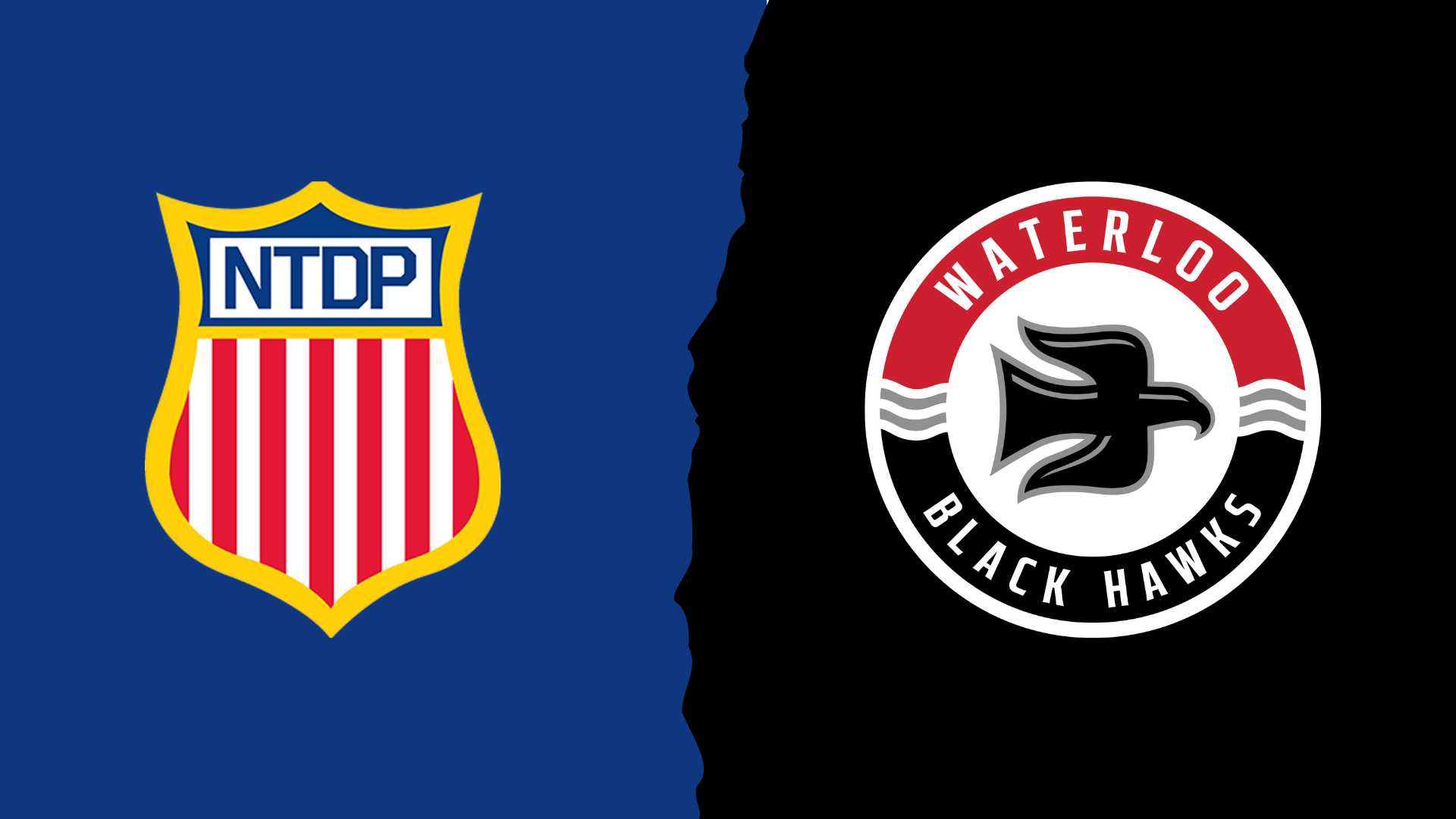 Postgame Recap: Progressive Scoring Propels Hawks Win - Waterloo Black ...