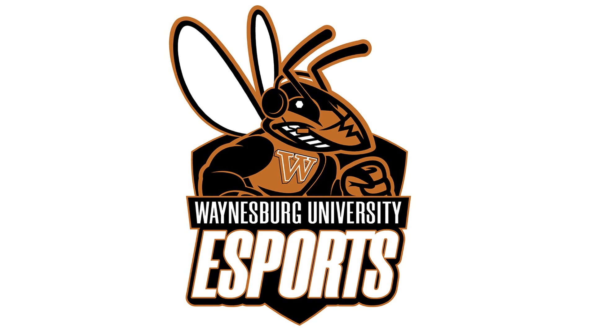 Waynesburg debuts first-ever esports schedule - Waynesburg University ...