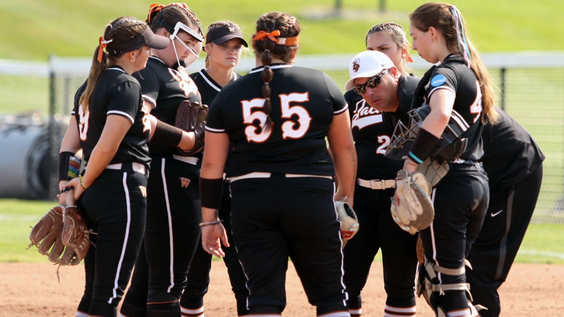 Softball ends 2023 season in NCAA Division III national tournament ...