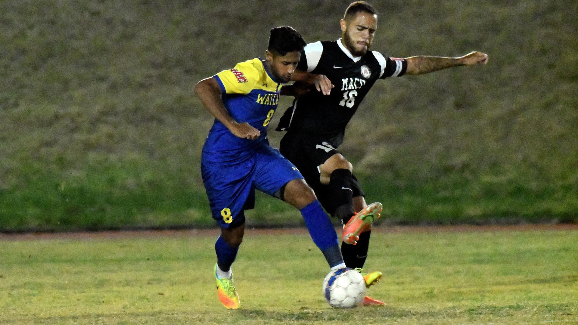 Ryan Naidoo - 2022 - Men's Soccer - Wayland Baptist University Athletics