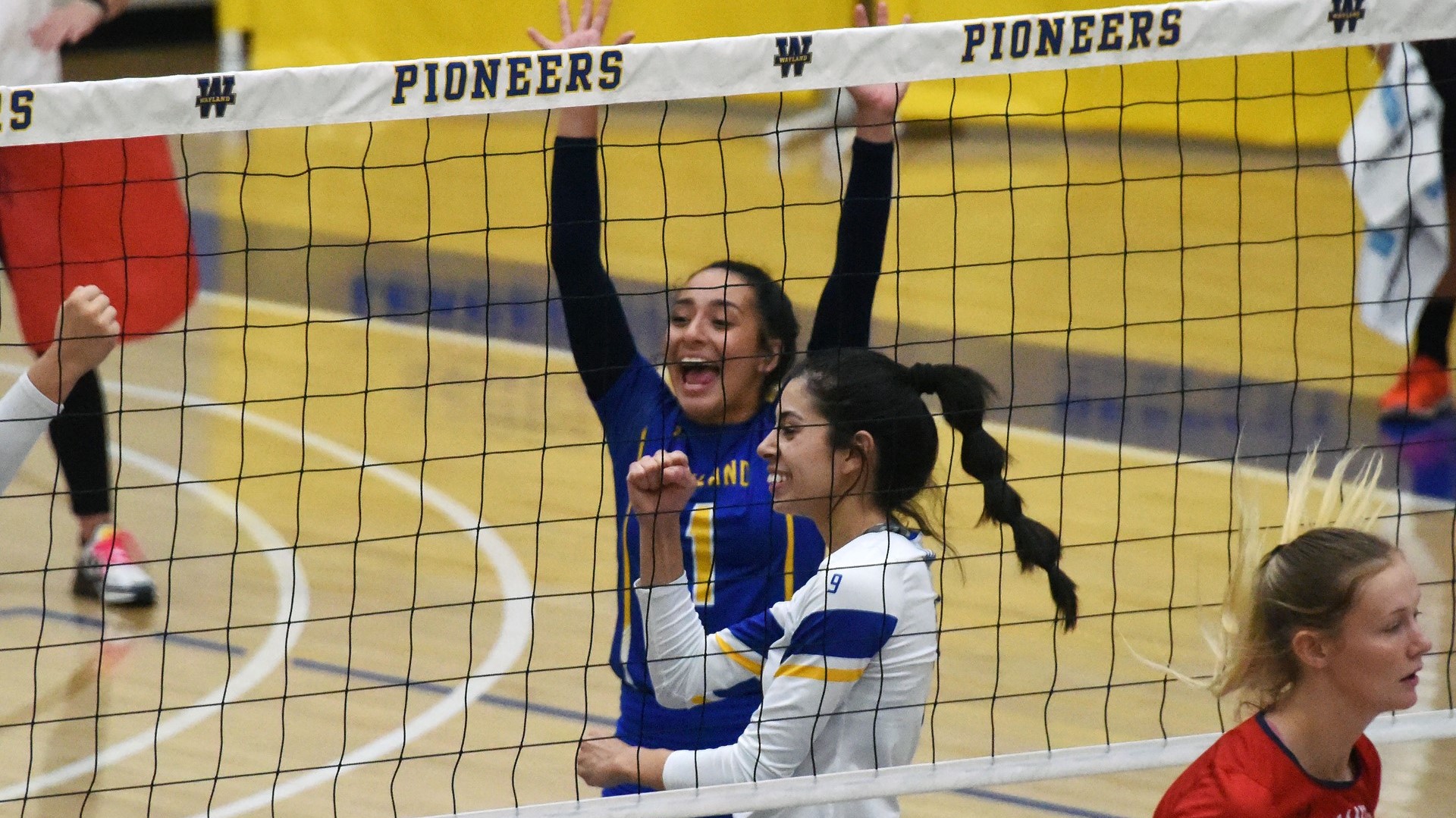 Ariel Marquez - 2021 - Volleyball - Wayland Baptist University Athletics