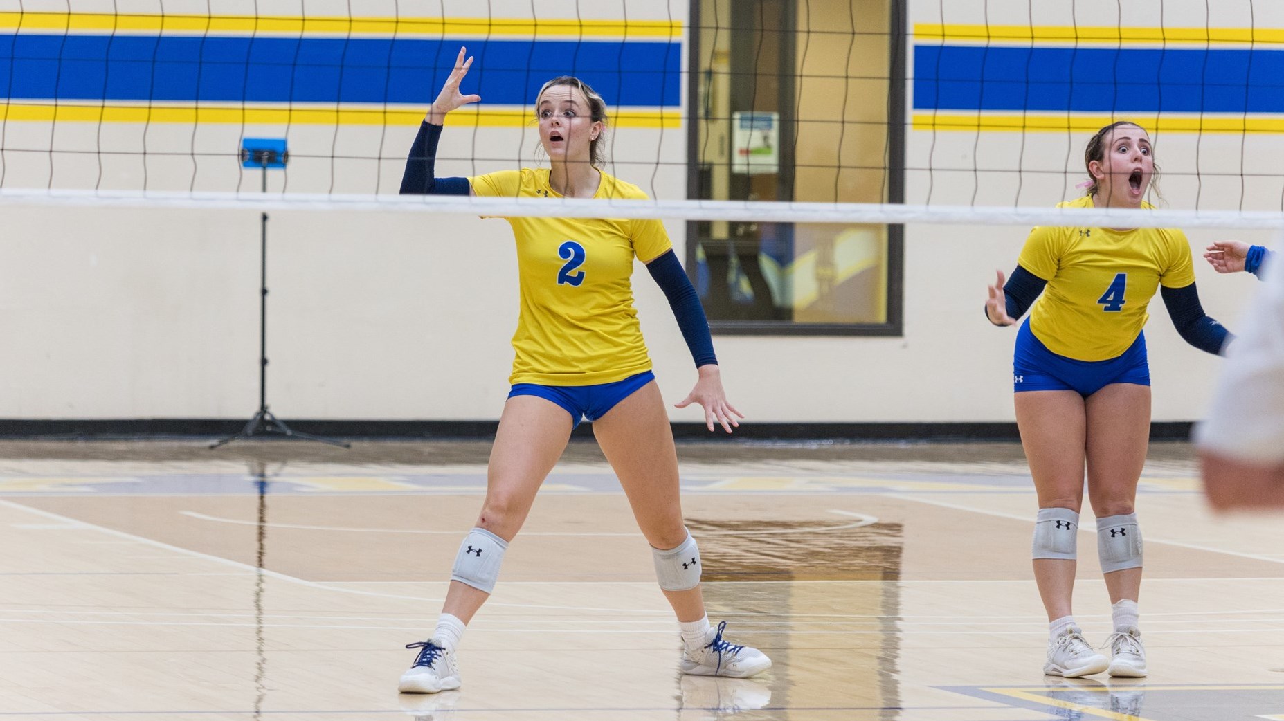 Elizabeth Wirth - 2023-24 - Volleyball - Wayland Baptist University ...