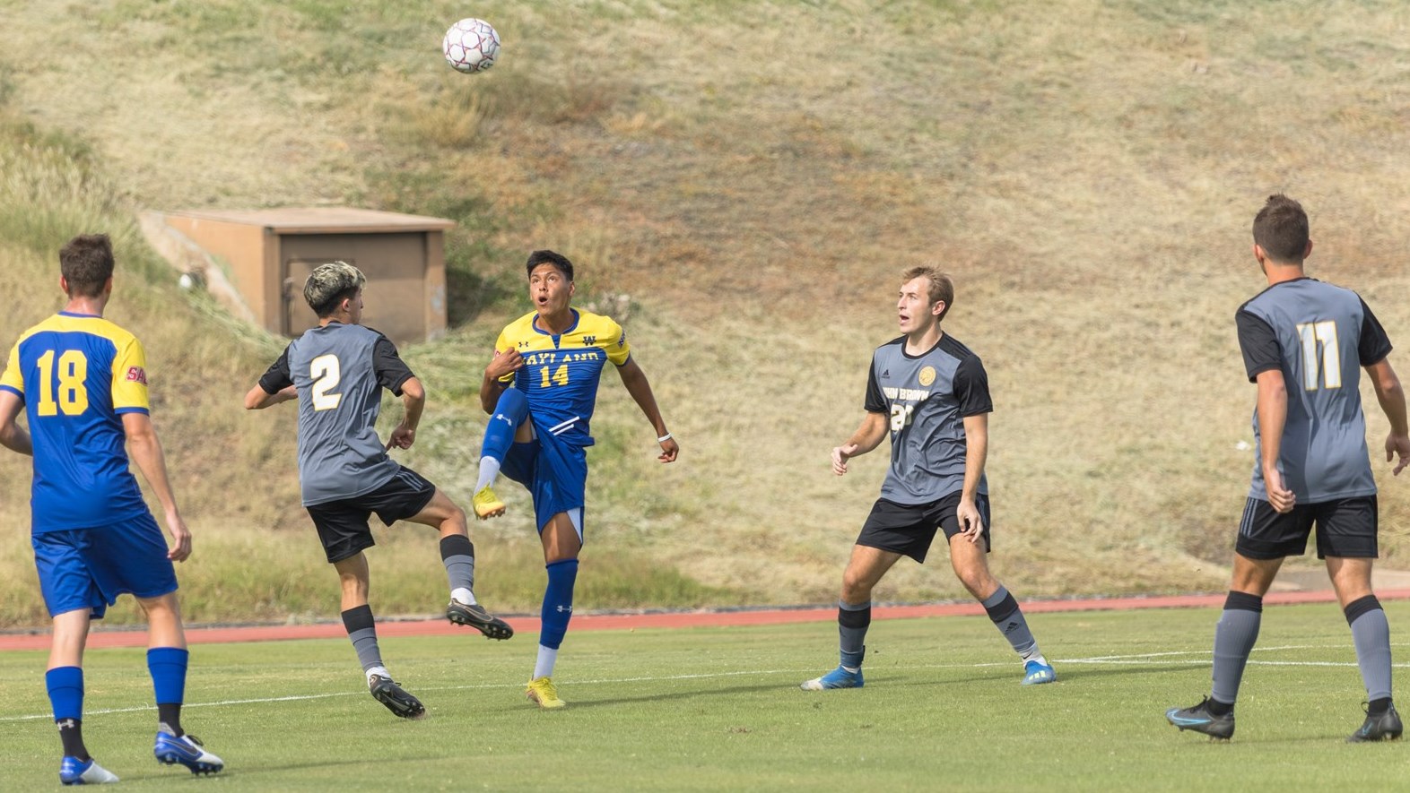 Gabriel Paglioni - 2023 - Men's Soccer - Wayland Baptist University ...