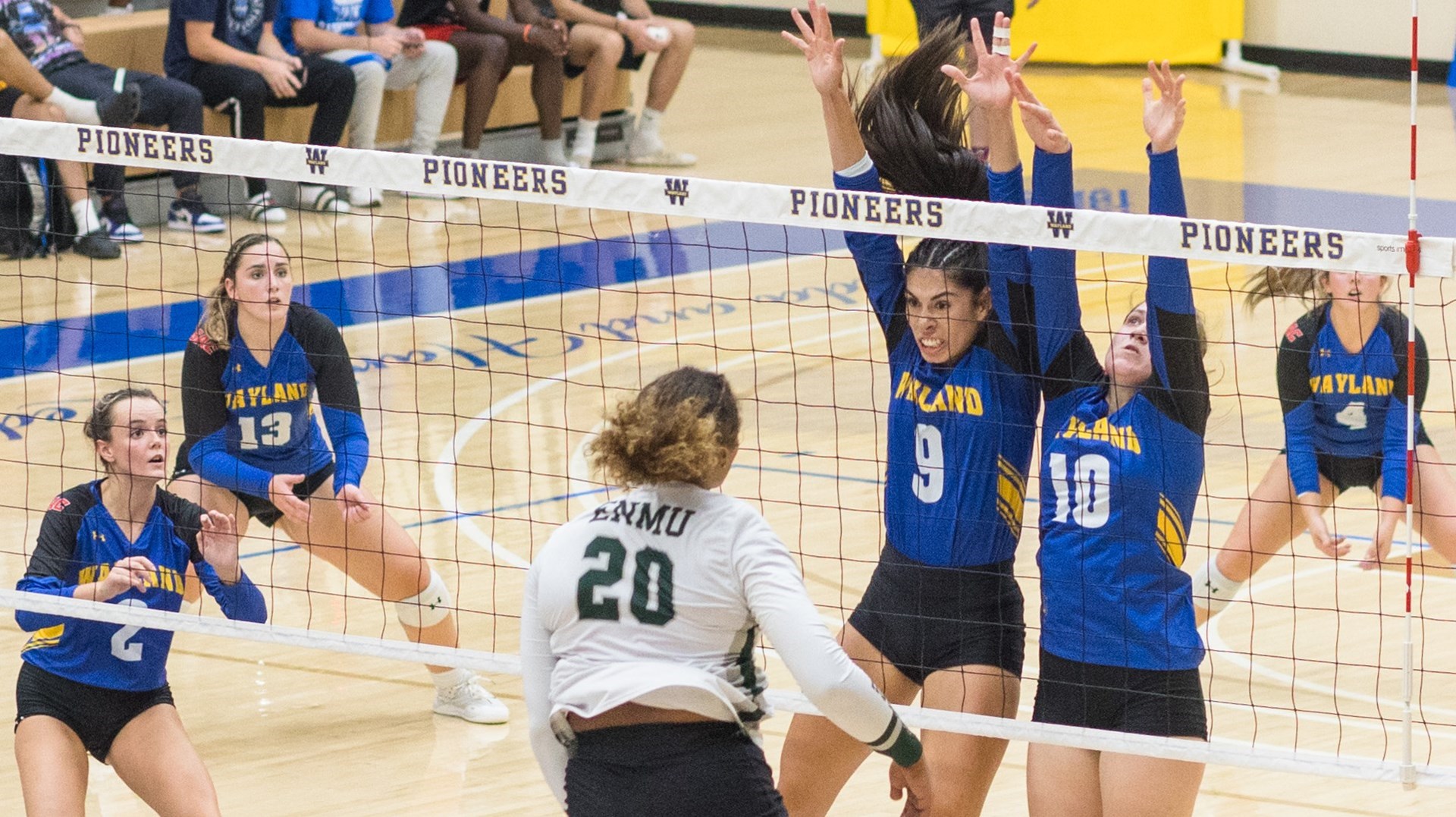 Maria Eduarda Motta - 2022 - Volleyball - Wayland Baptist University ...