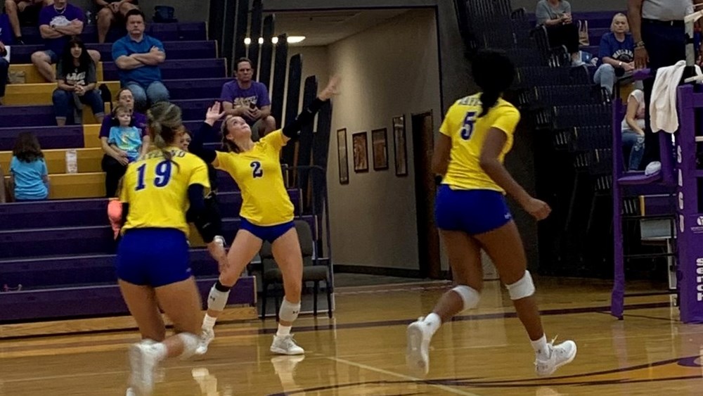 Elizabeth Wirth - 2023-24 - Volleyball - Wayland Baptist University ...