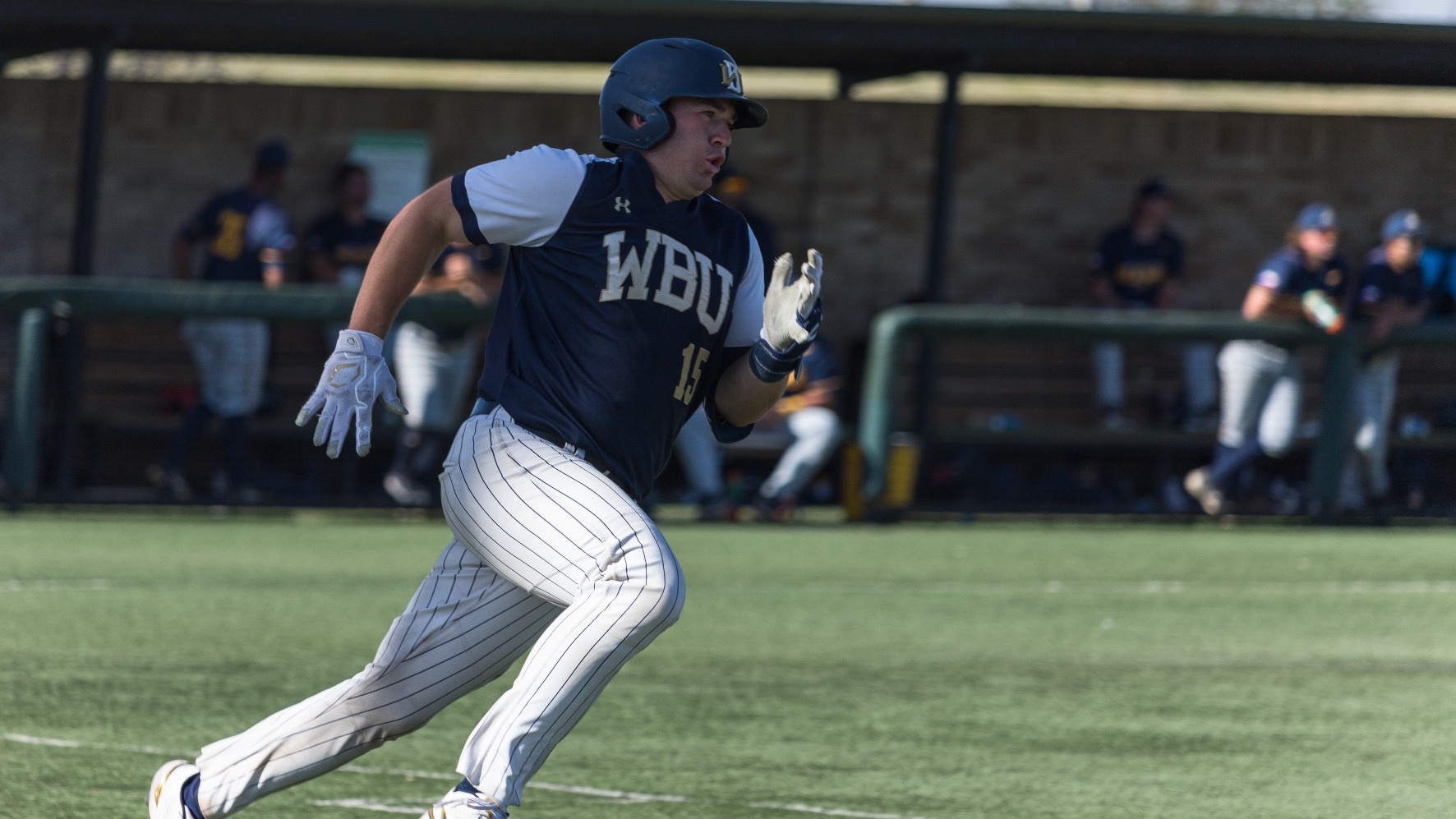 Green delivers record 7 of WBU's 28 hits in 25-19 win - Wayland Baptist ...