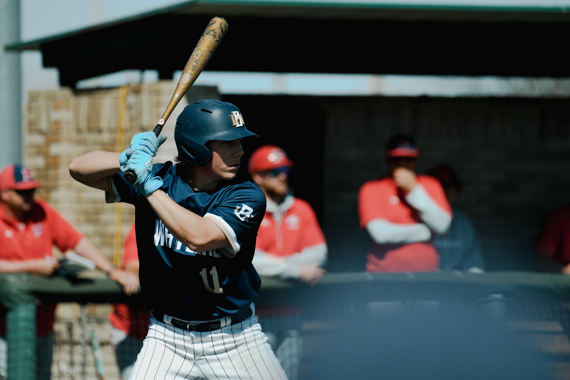 A Dominating Run-Rule Victory Over USW Concludes Pioneers 2024 Home ...