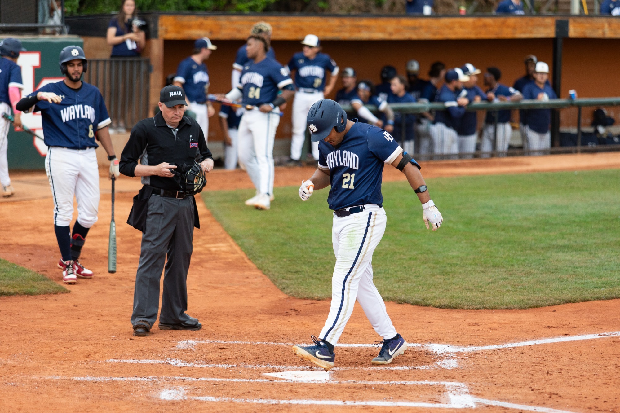 Pioneers Earn 2-Seed in Lewiston, Idaho Region for 2025 NAIA Baseball ...