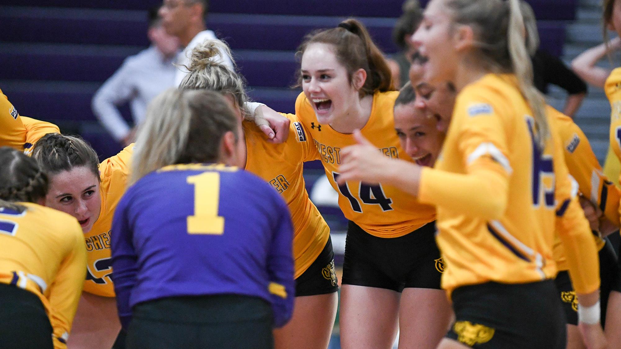 Jillian Borgerding - Women's Volleyball - West Chester University Athletics