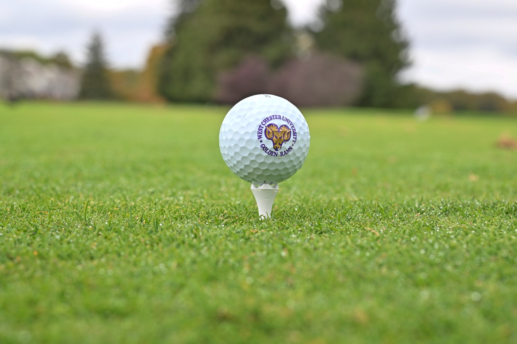 Baseball Puts Seven on All-PSAC East Squad; Boccio Named Player of the ...