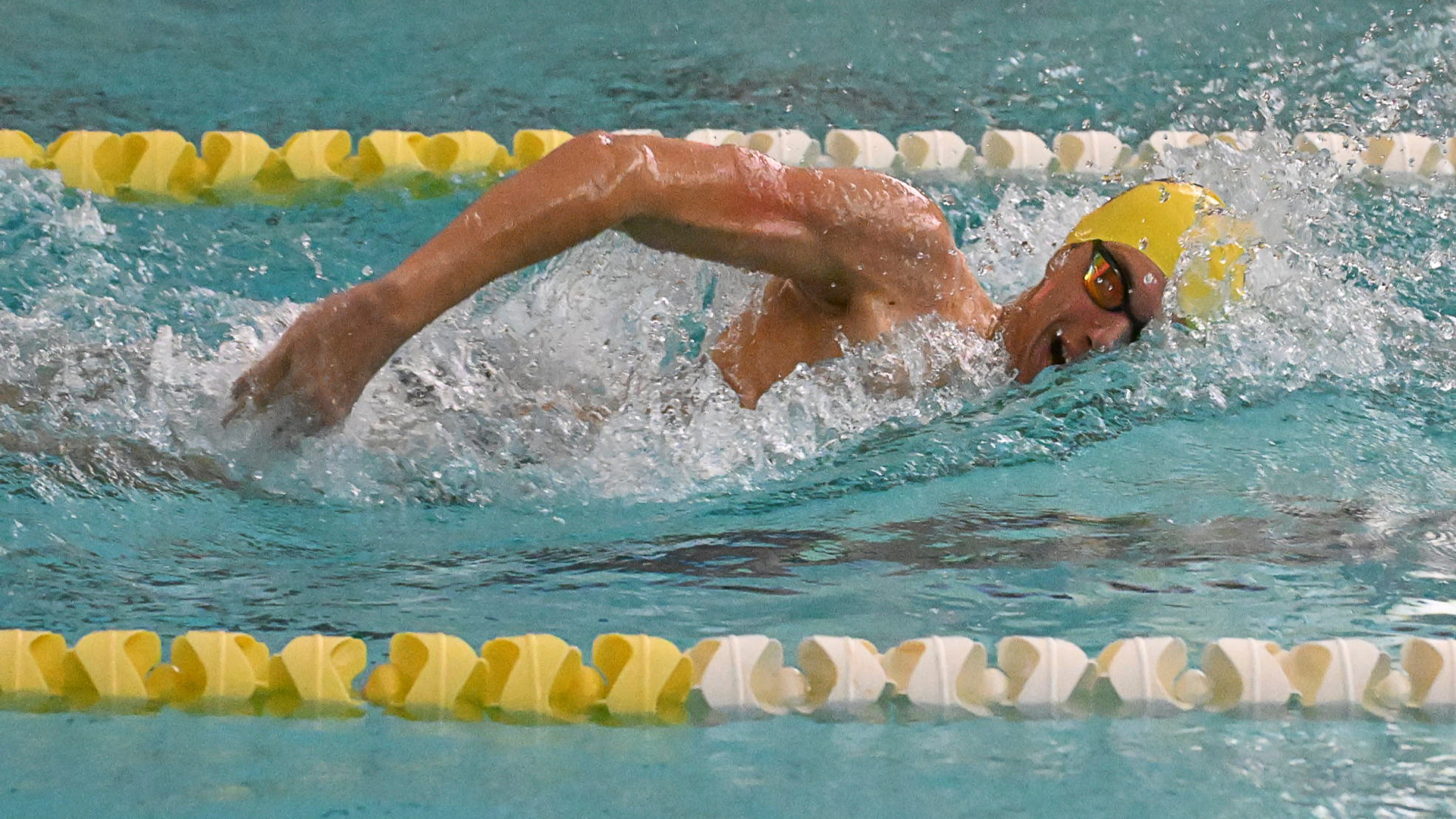 Demesy Finishes Second in 1650 Free on Final Night of NCAA Division II ...