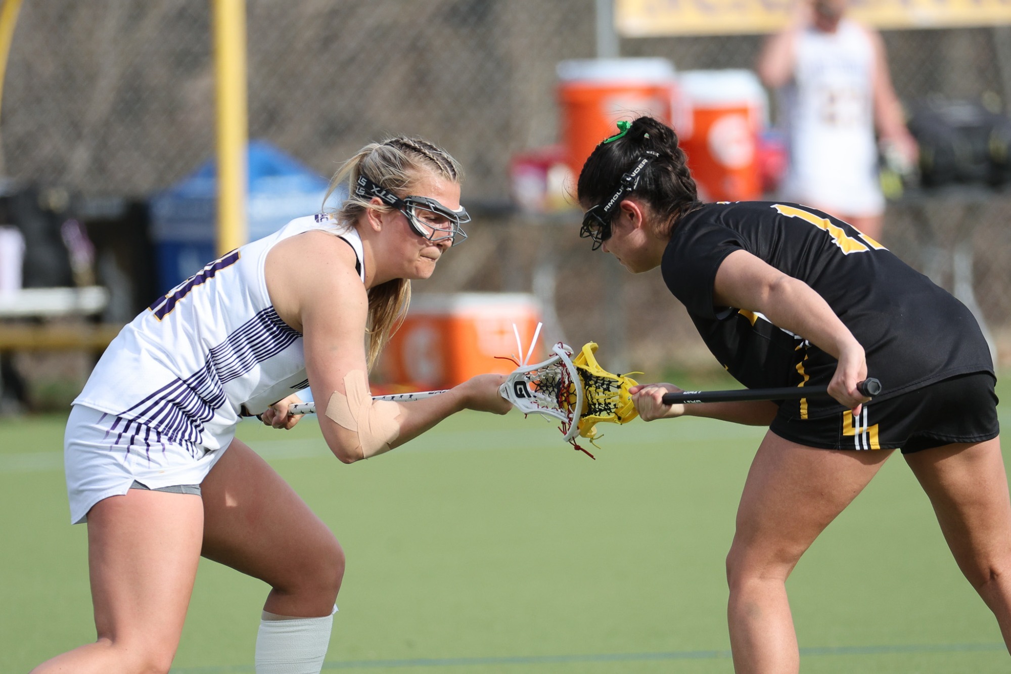 Women's Lacrosse to Host American International on Friday at 3 in ...