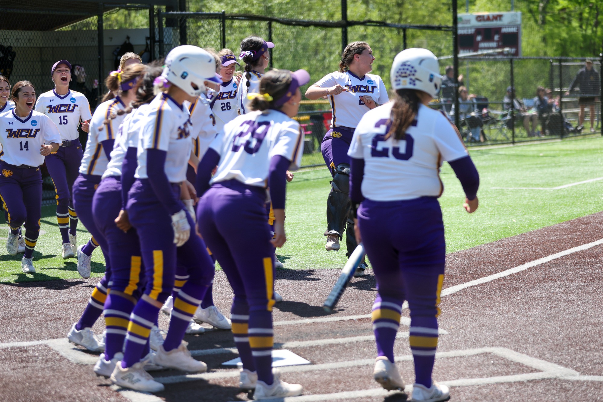 Softball to Face Shepherd, Bloomsburg in Fight for PSAC Tournament ...