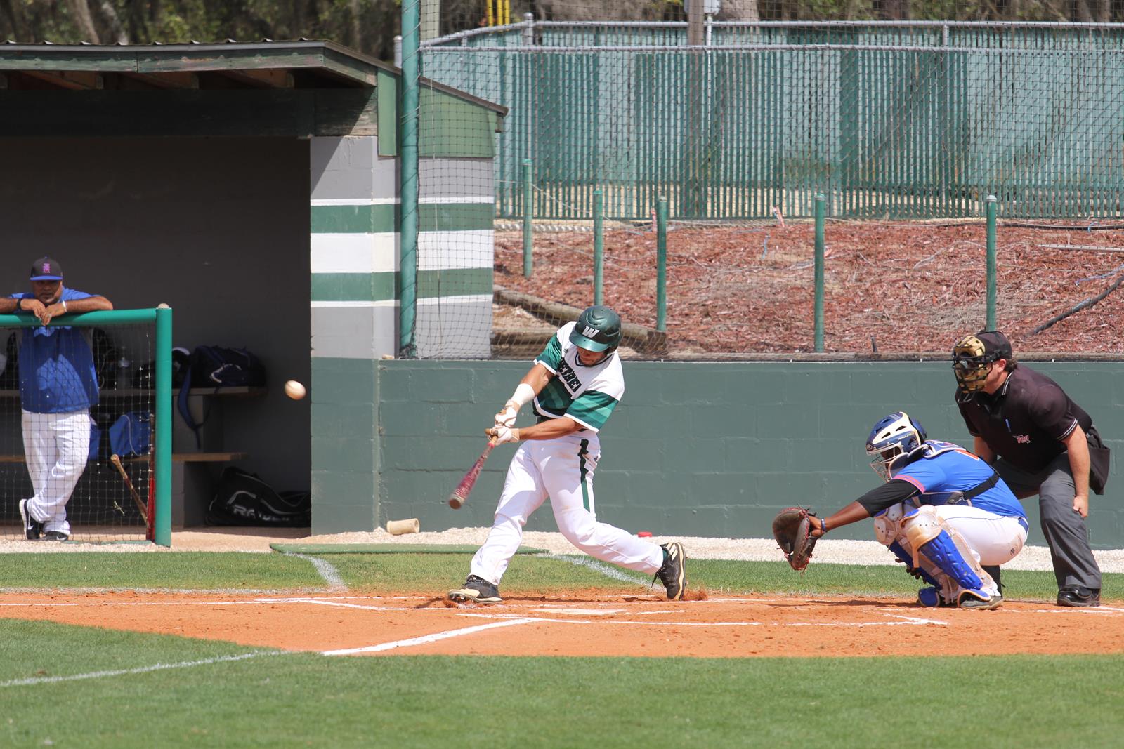 Matt Saliba - 2017 - #6 Baseball - Webber International University ...