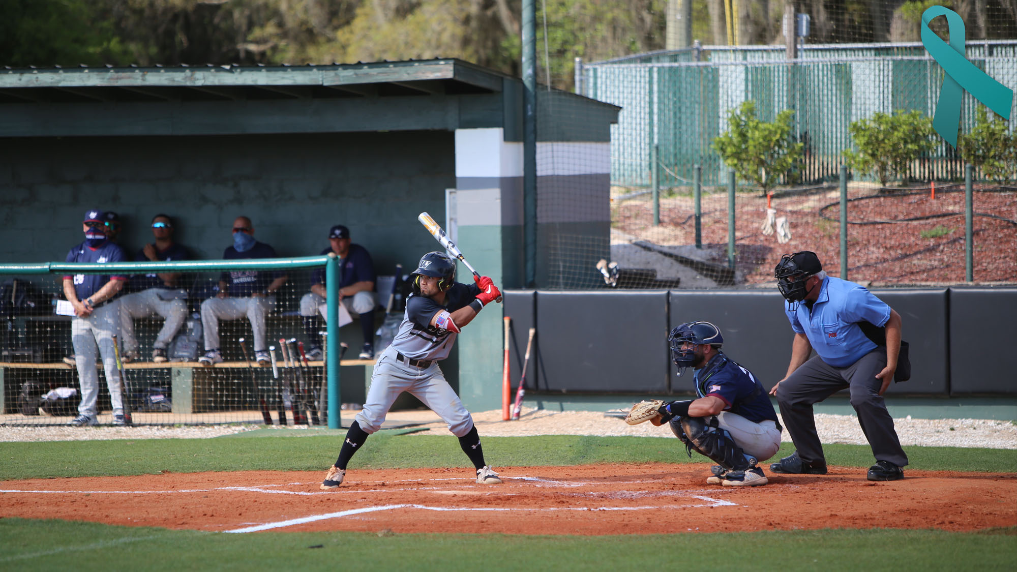 Baseball splits final two games of series with Warner - Webber ...