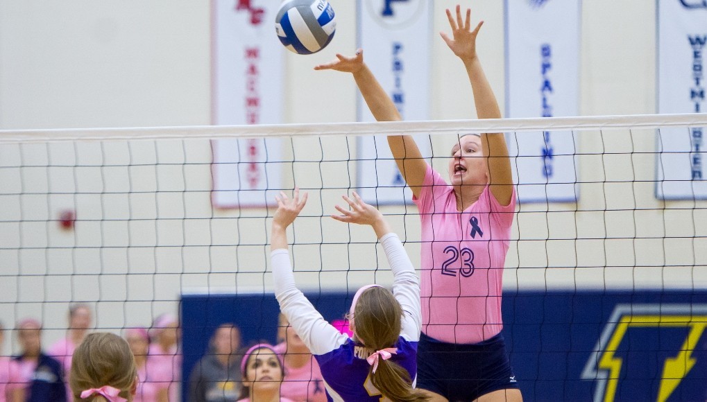 Sam Kersting - Volleyball - Webster University Athletics