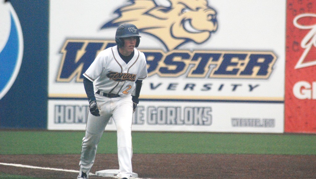 Matt Wollnik - Baseball - Webster University Athletics