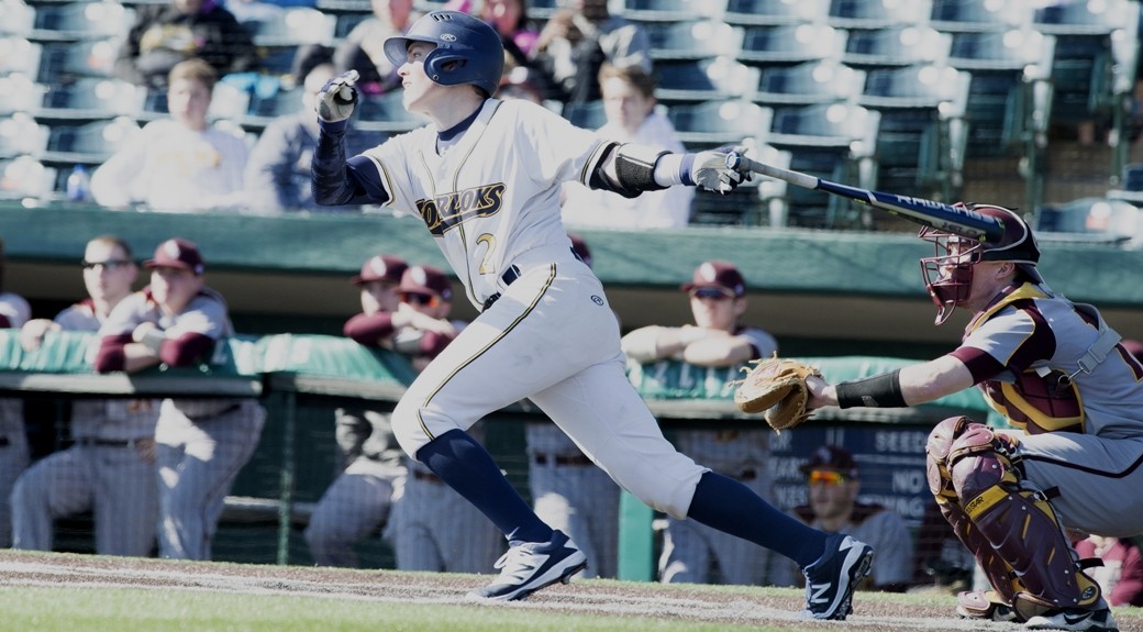 Matt Wollnik - Baseball - Webster University Athletics