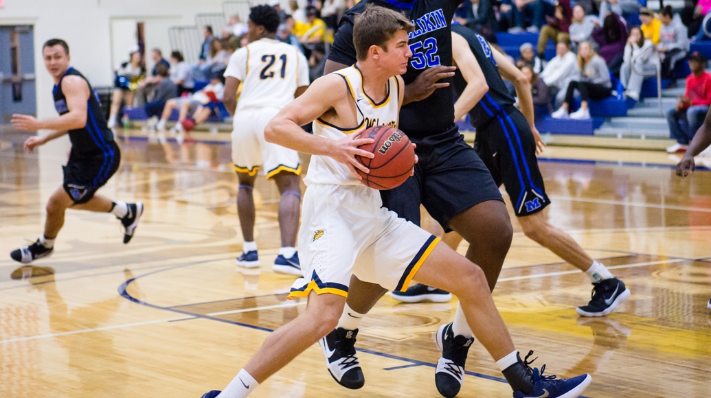 Austin Nation - Men's Basketball - Webster University Athletics