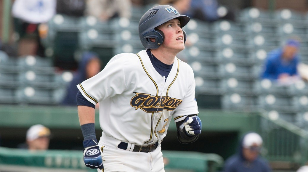 Matt Wollnik - Baseball - Webster University Athletics