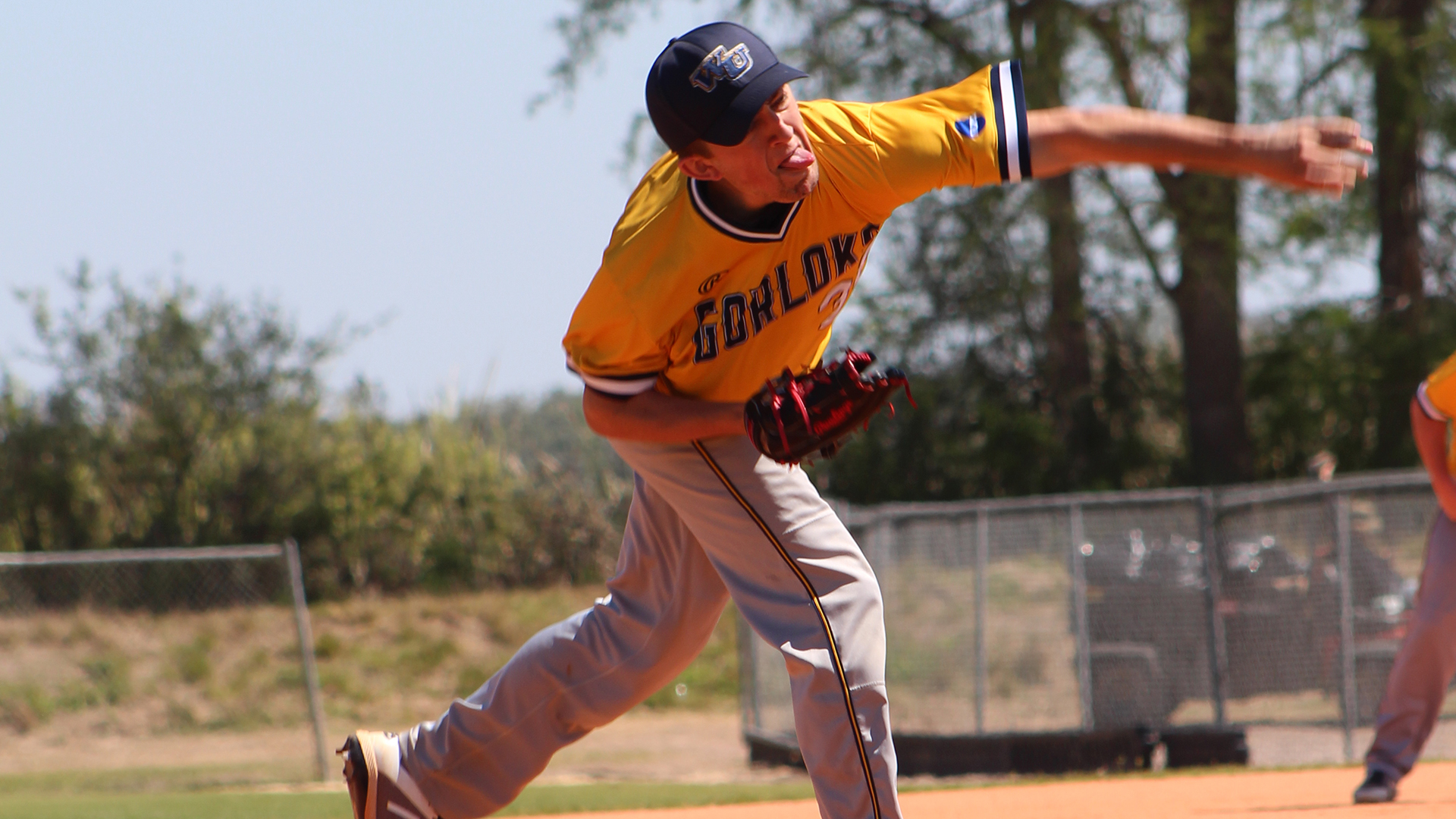 Nick Brummel - Baseball - Webster University Athletics