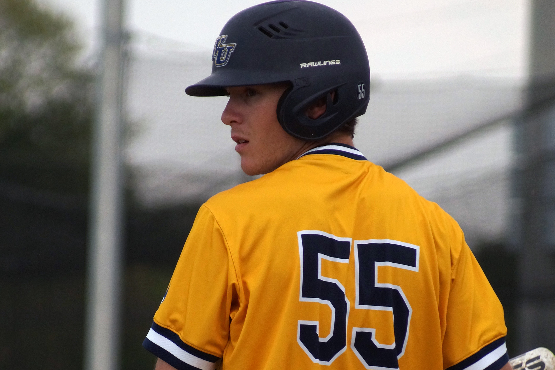 Conner Wardlaw - Baseball - Webster University Athletics