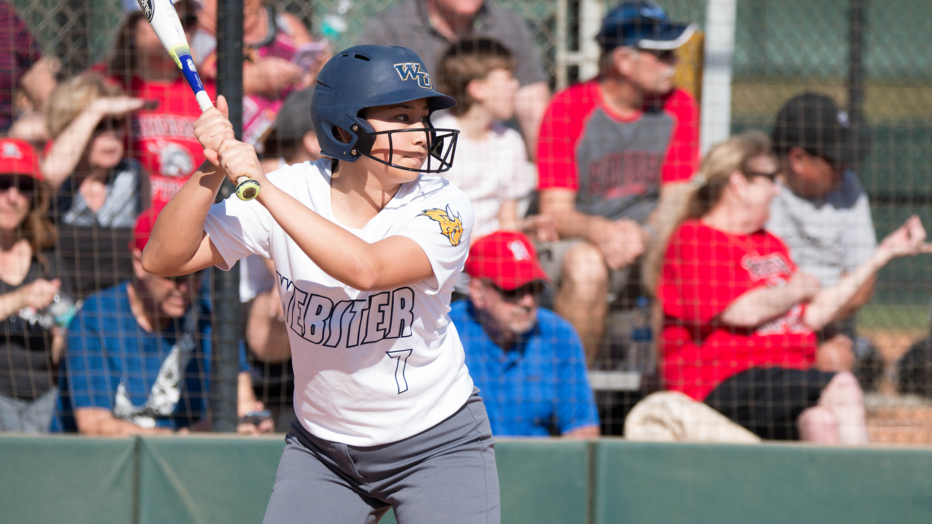 Softball Drops Both Ends of SLIAC Doubleheader at Westminster - Webster ...