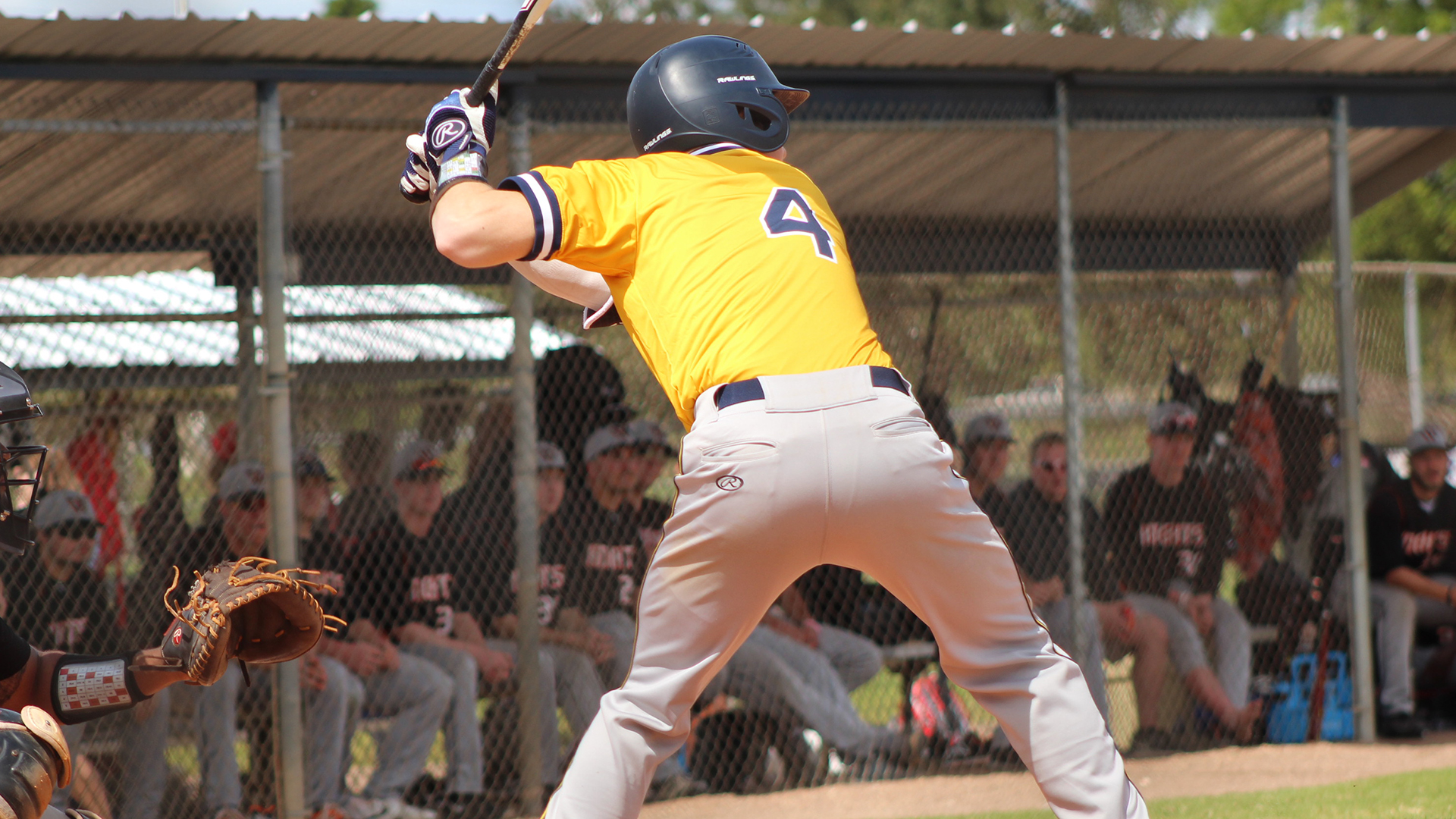 Brandon Dryer - Baseball - Webster University Athletics