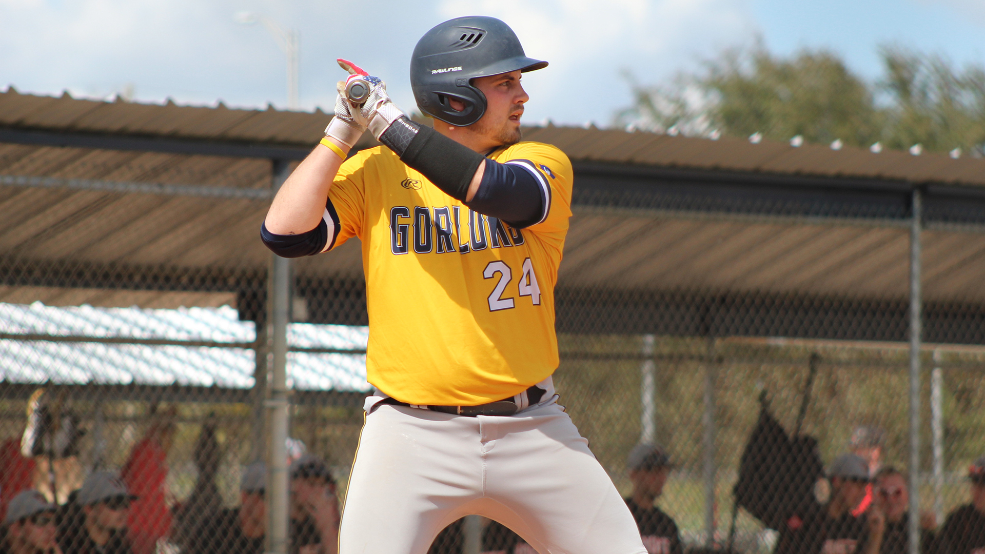 Talon Parke - Baseball - Webster University Athletics