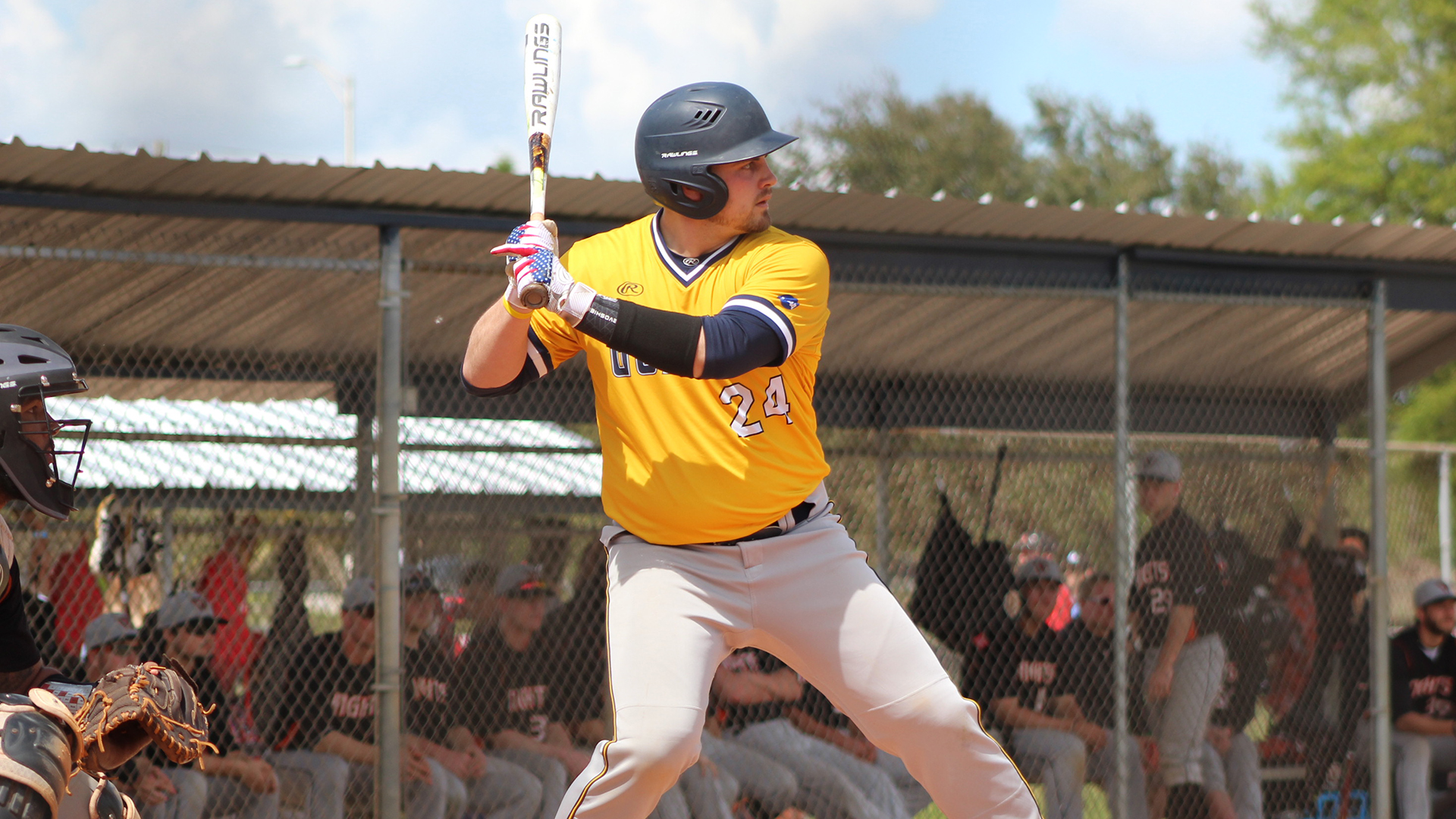Talon Parke - Baseball - Webster University Athletics