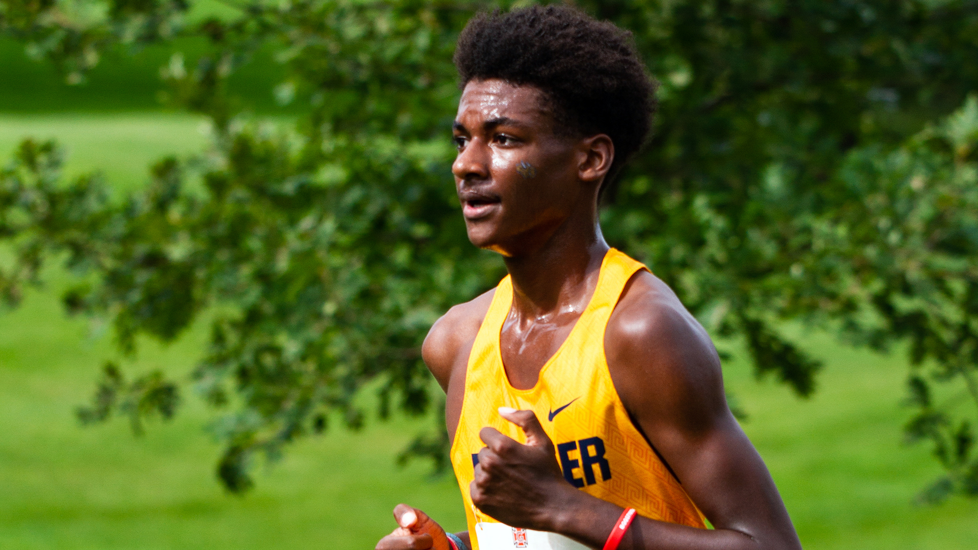 Kaelin Triggs - Men's Cross Country - Webster University Athletics