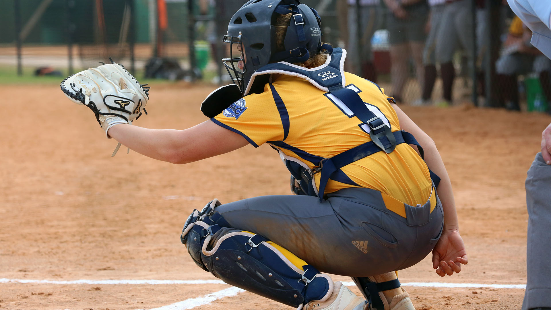 Emma Steltzer - Softball - Webster University Athletics