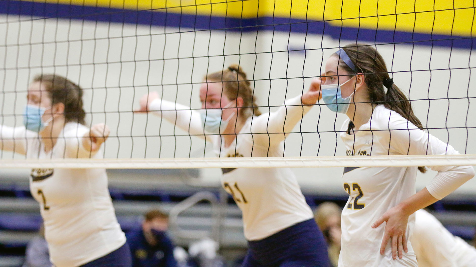 Alexis Wolf - Volleyball - Webster University Athletics