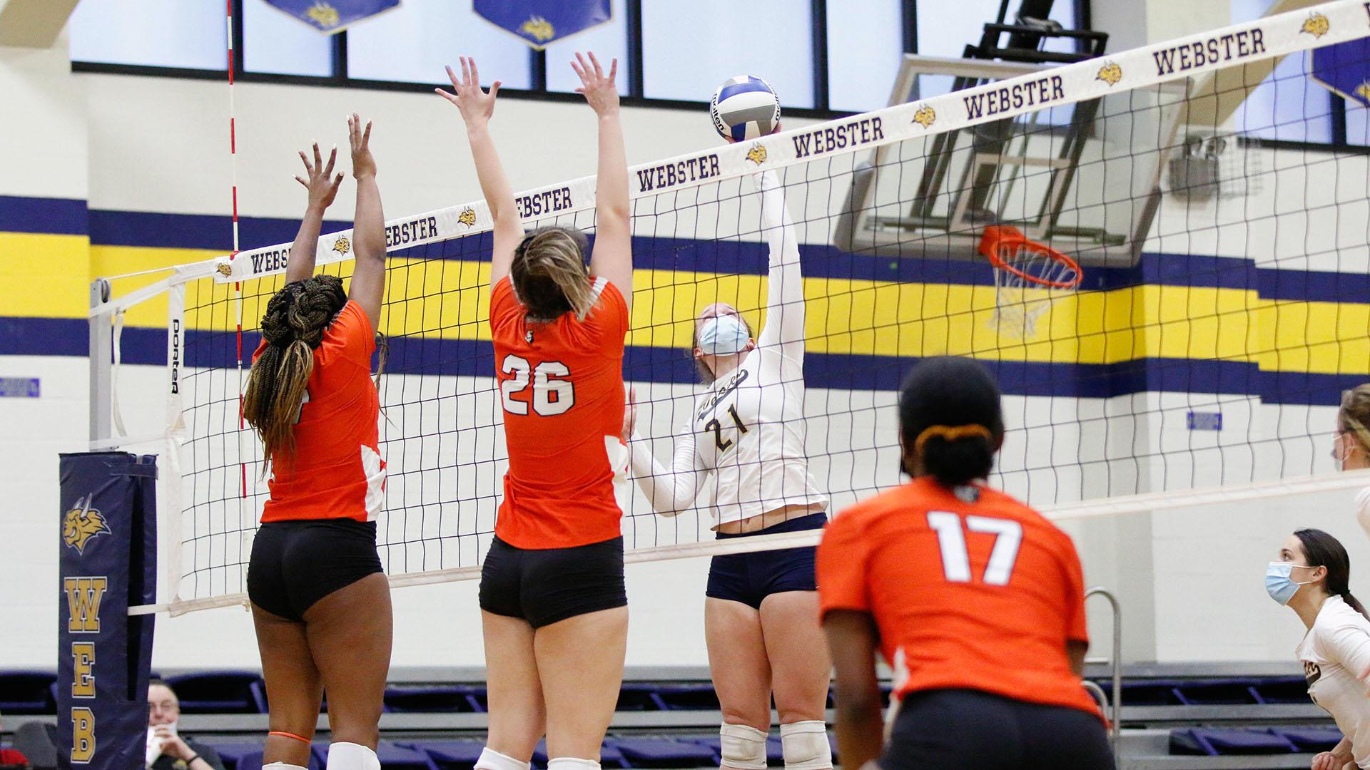 Alexis Wolf - Volleyball - Webster University Athletics