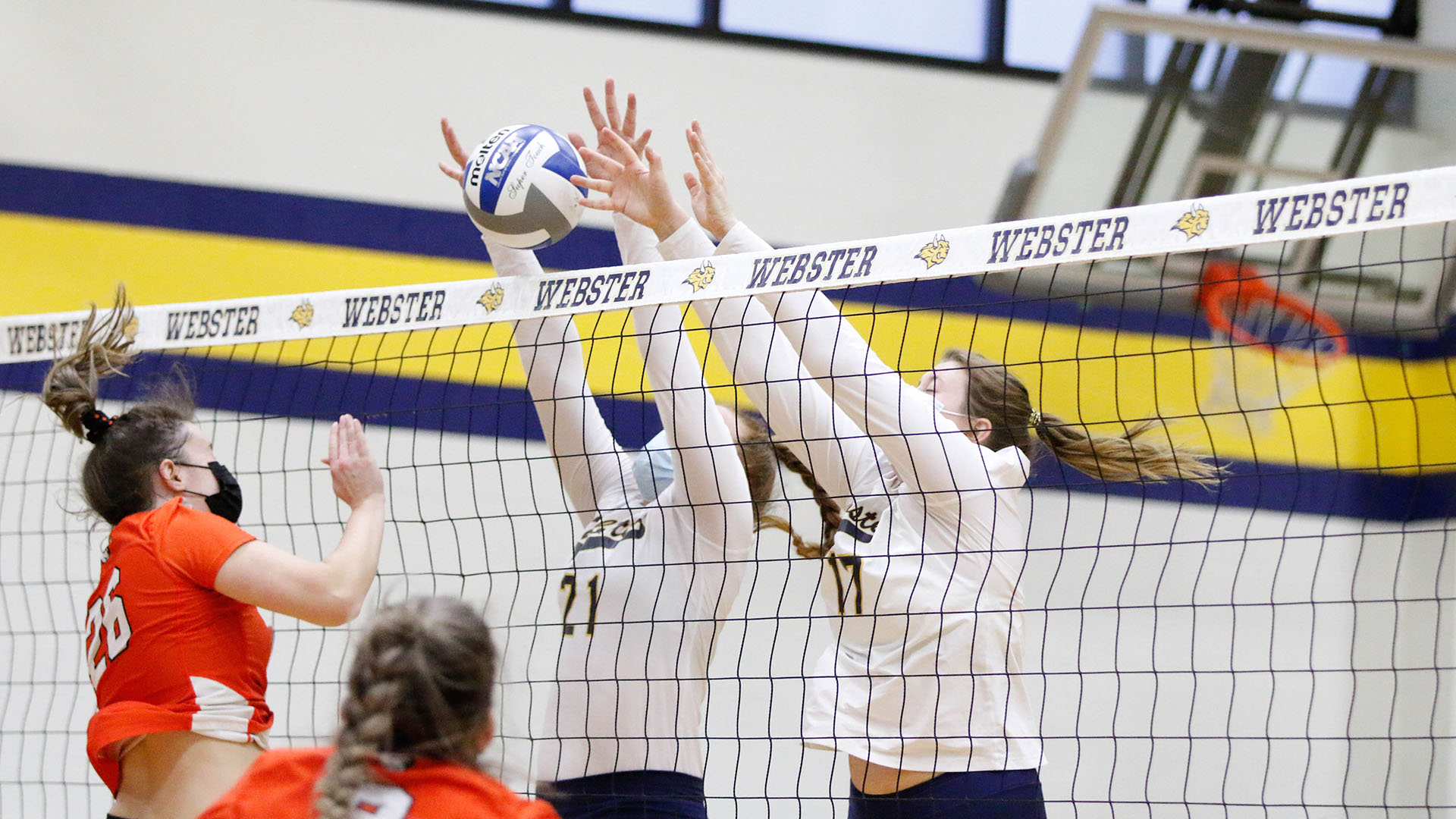 Alexis Wolf - Volleyball - Webster University Athletics