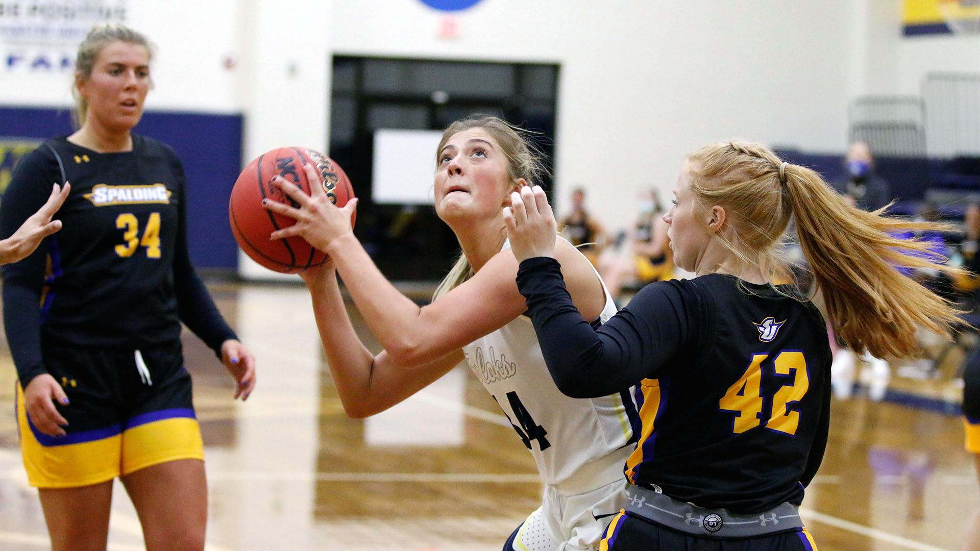 Emily Ederer - Women's Basketball - Webster University Athletics