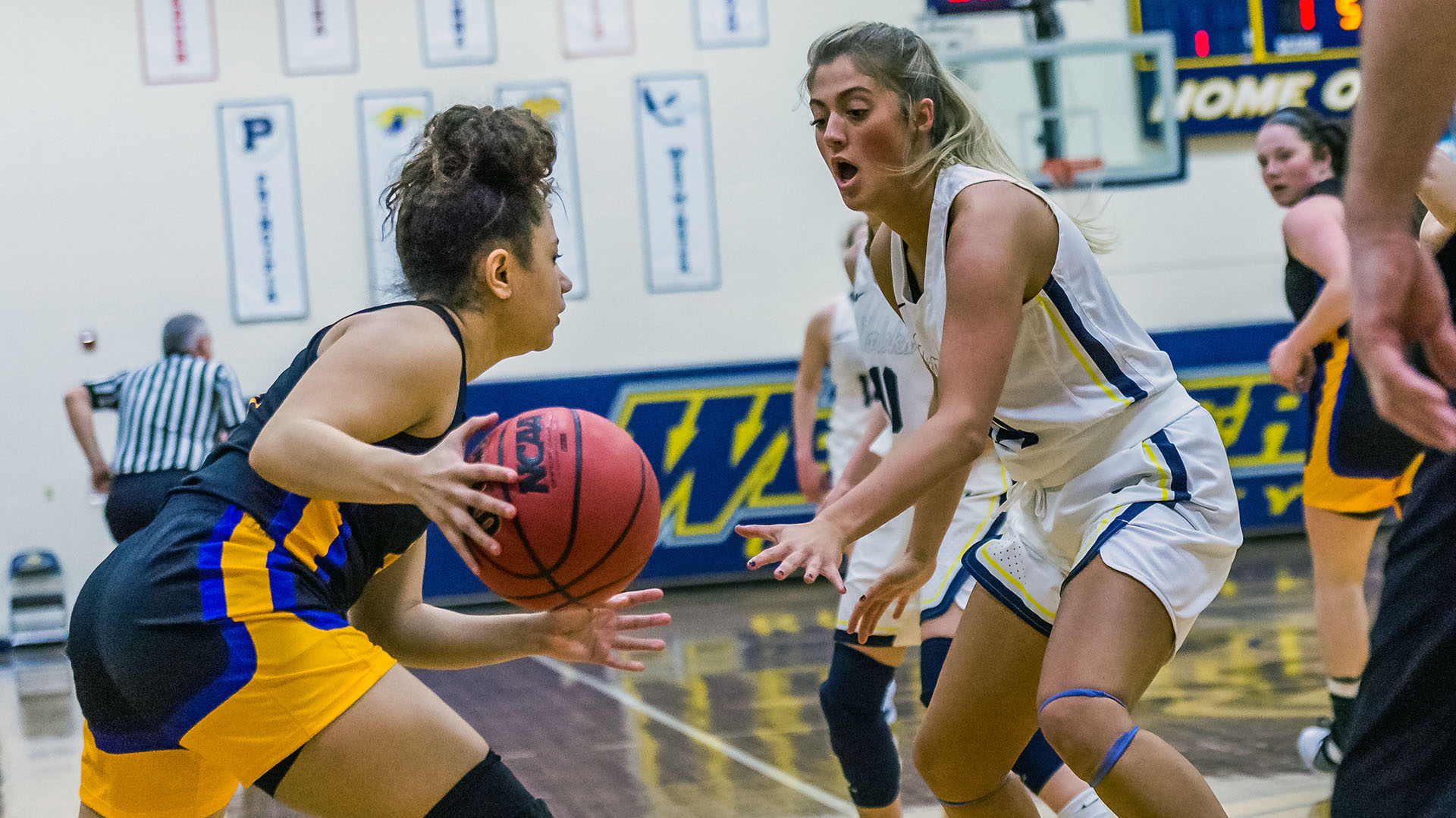 Emily Ederer - Women's Basketball - Webster University Athletics
