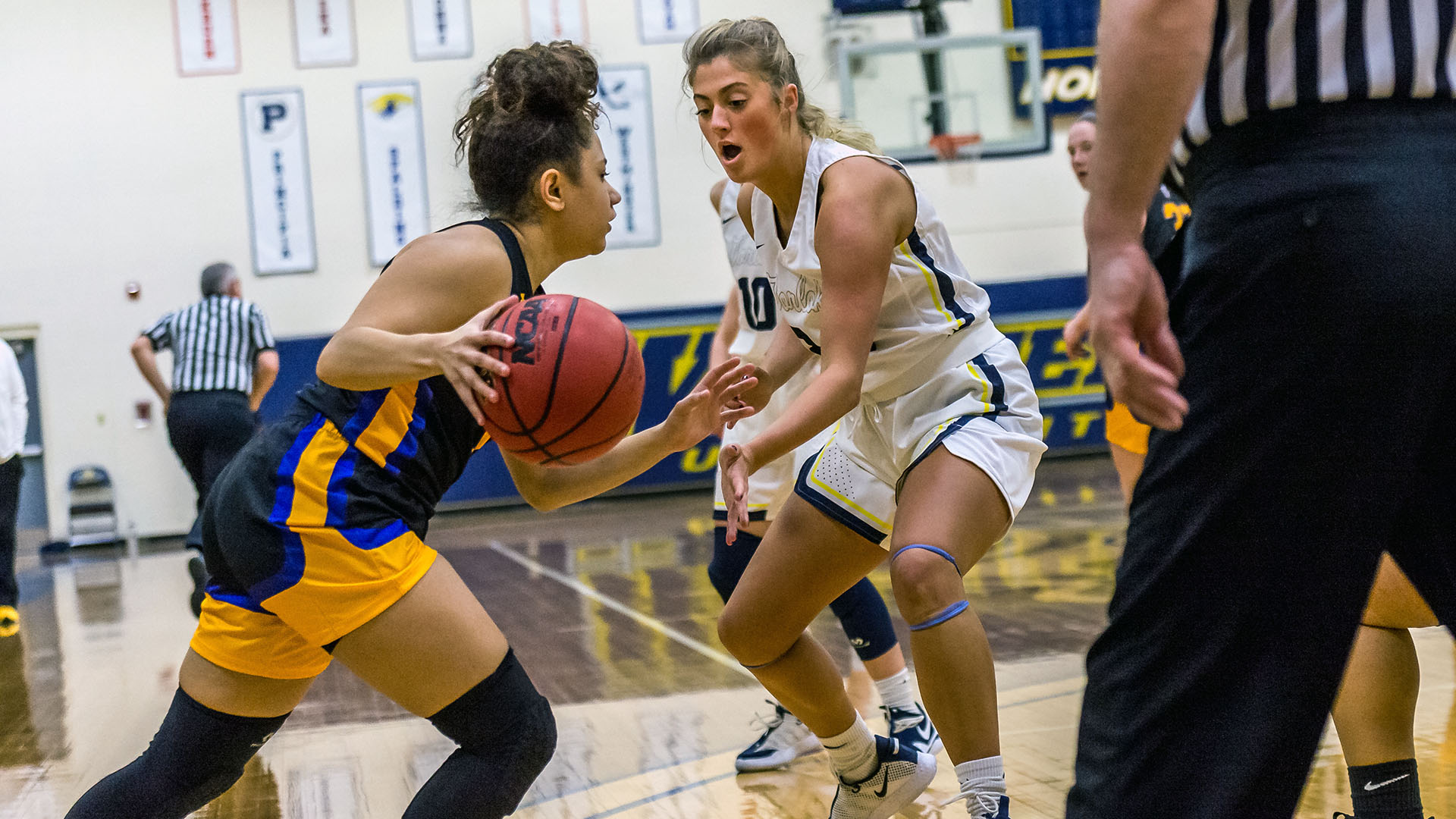 Emily Ederer - Women's Basketball - Webster University Athletics