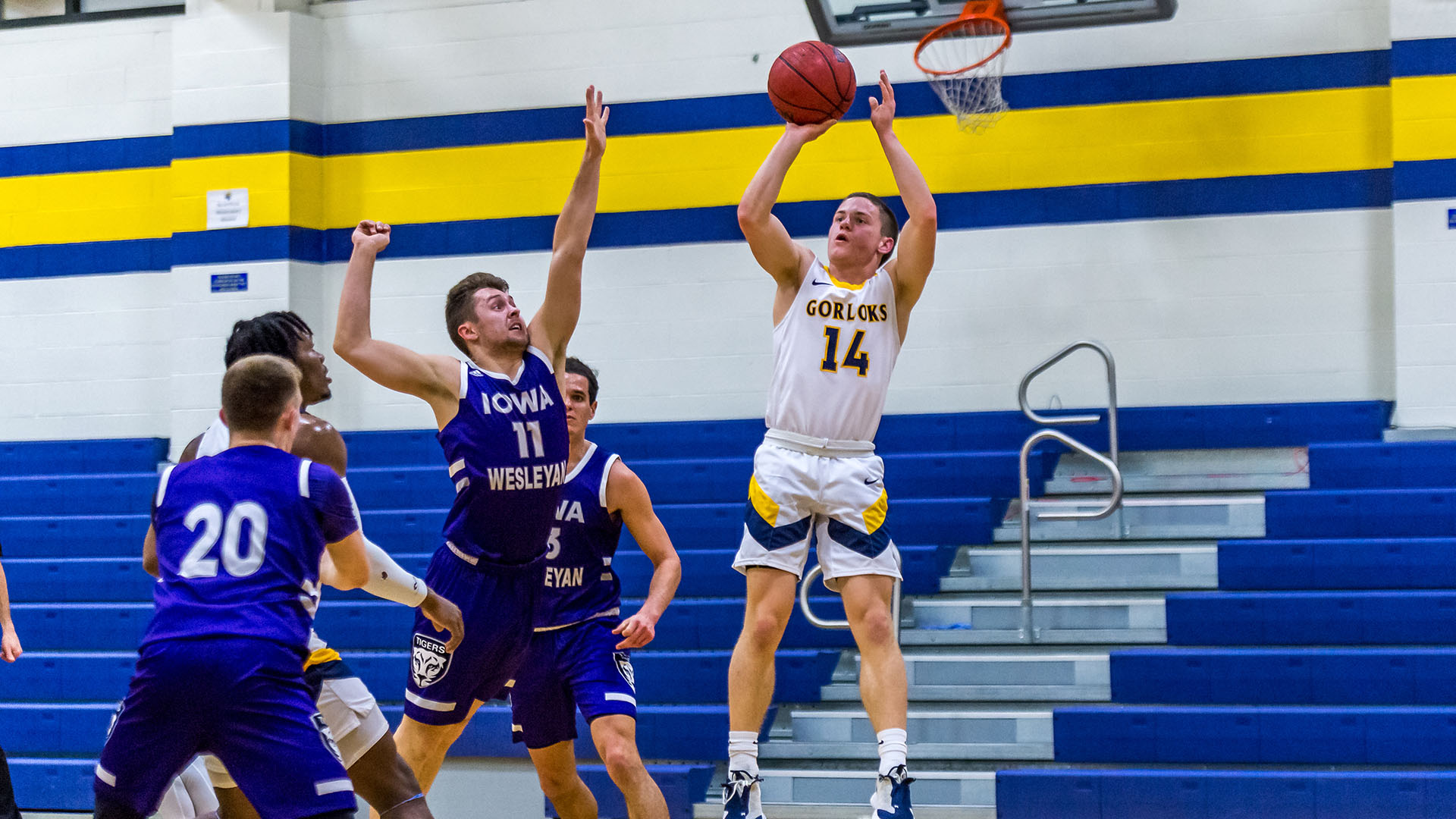 Mark Moore - Men's Basketball - Webster University Athletics