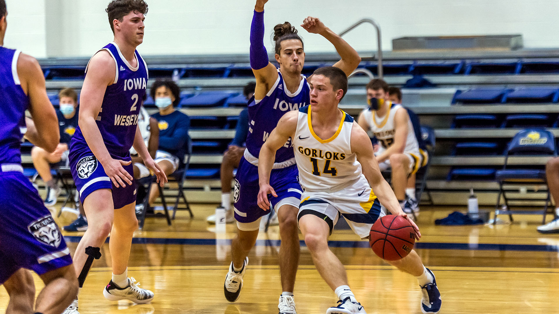 Mark Moore - Men's Basketball - Webster University Athletics