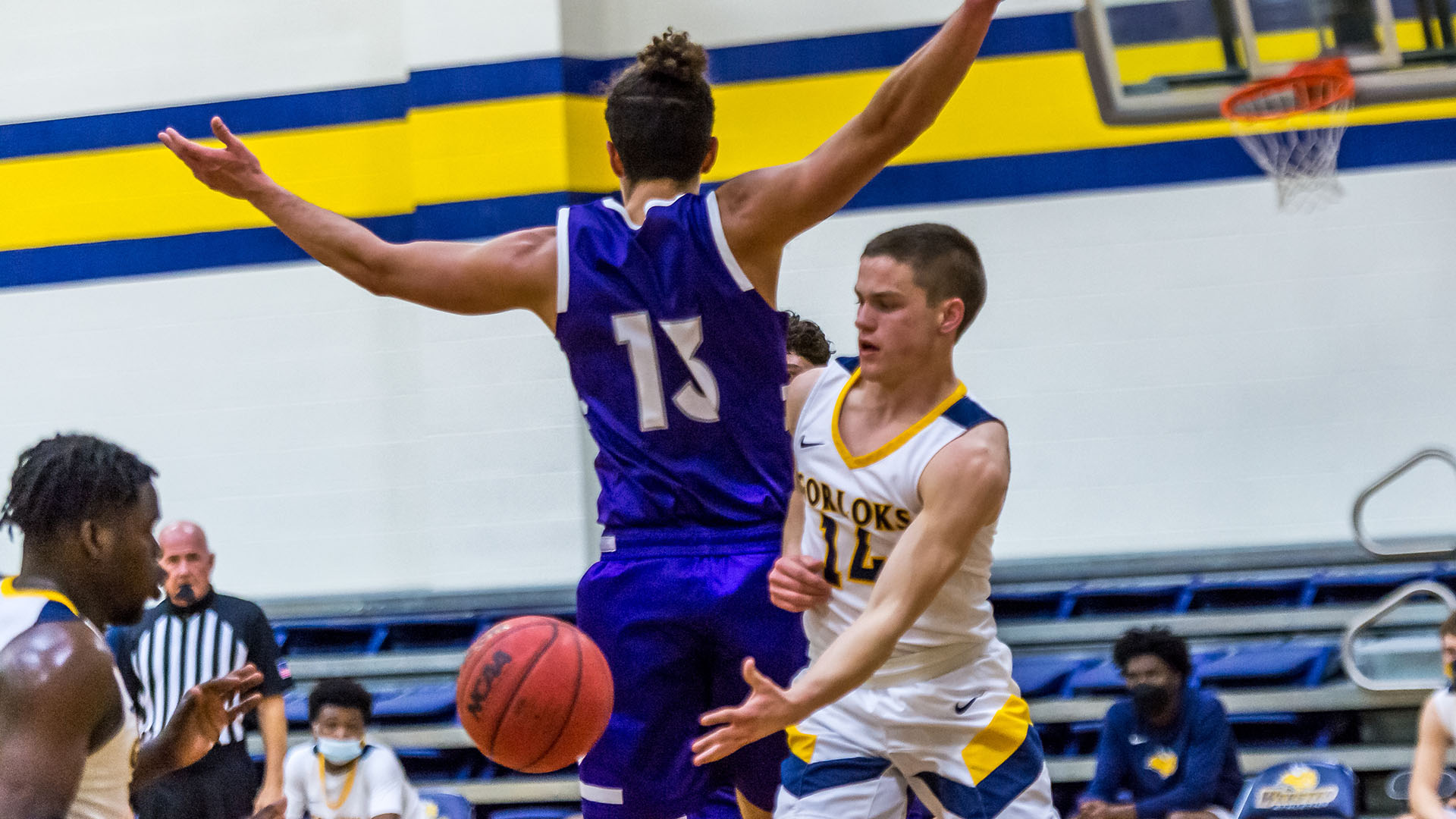 Mark Moore - Men's Basketball - Webster University Athletics