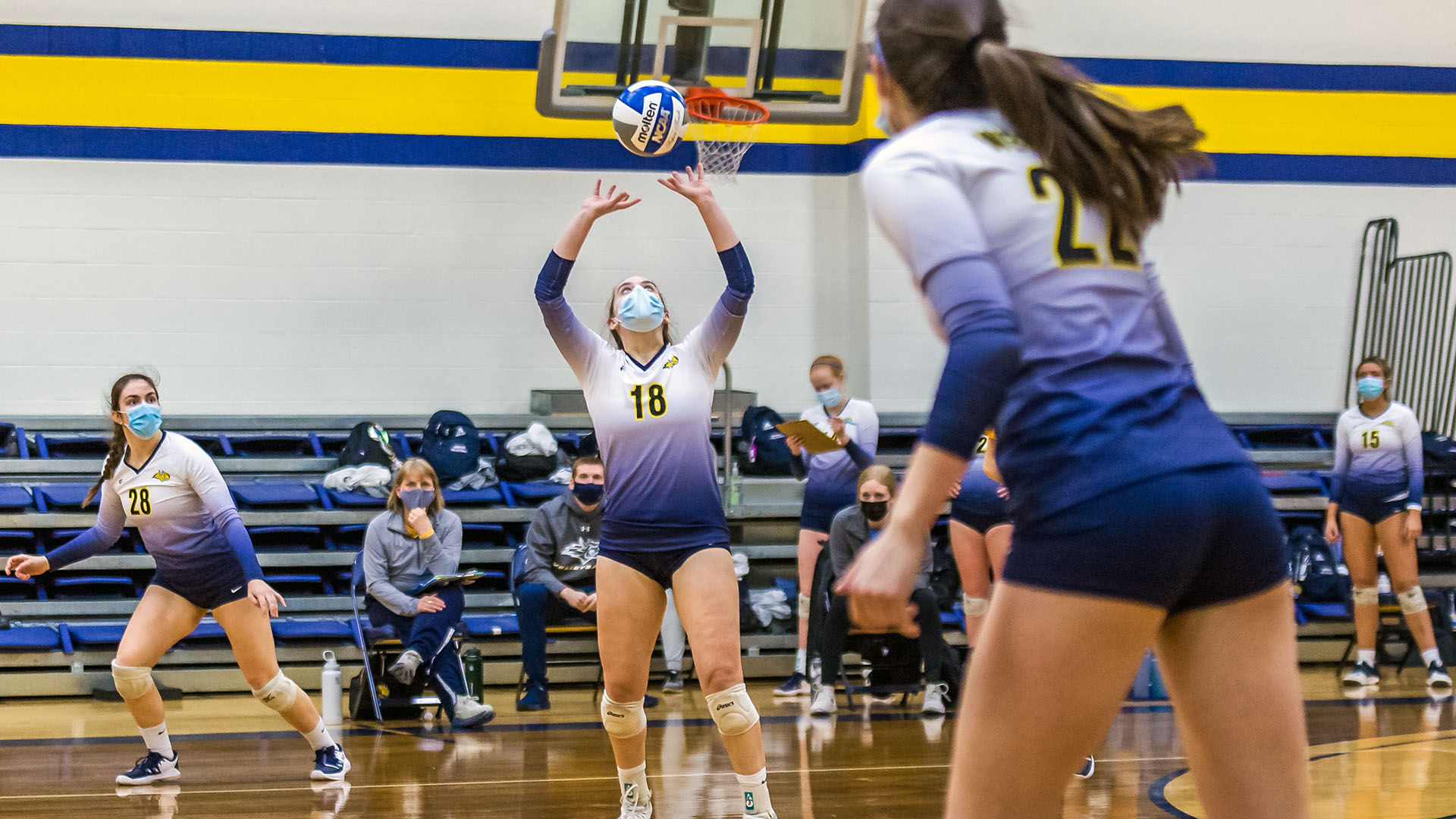 Delaney Demman - Volleyball - Webster University Athletics