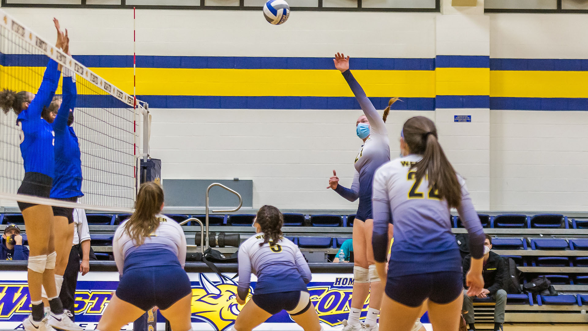 Alexis Wolf - Volleyball - Webster University Athletics