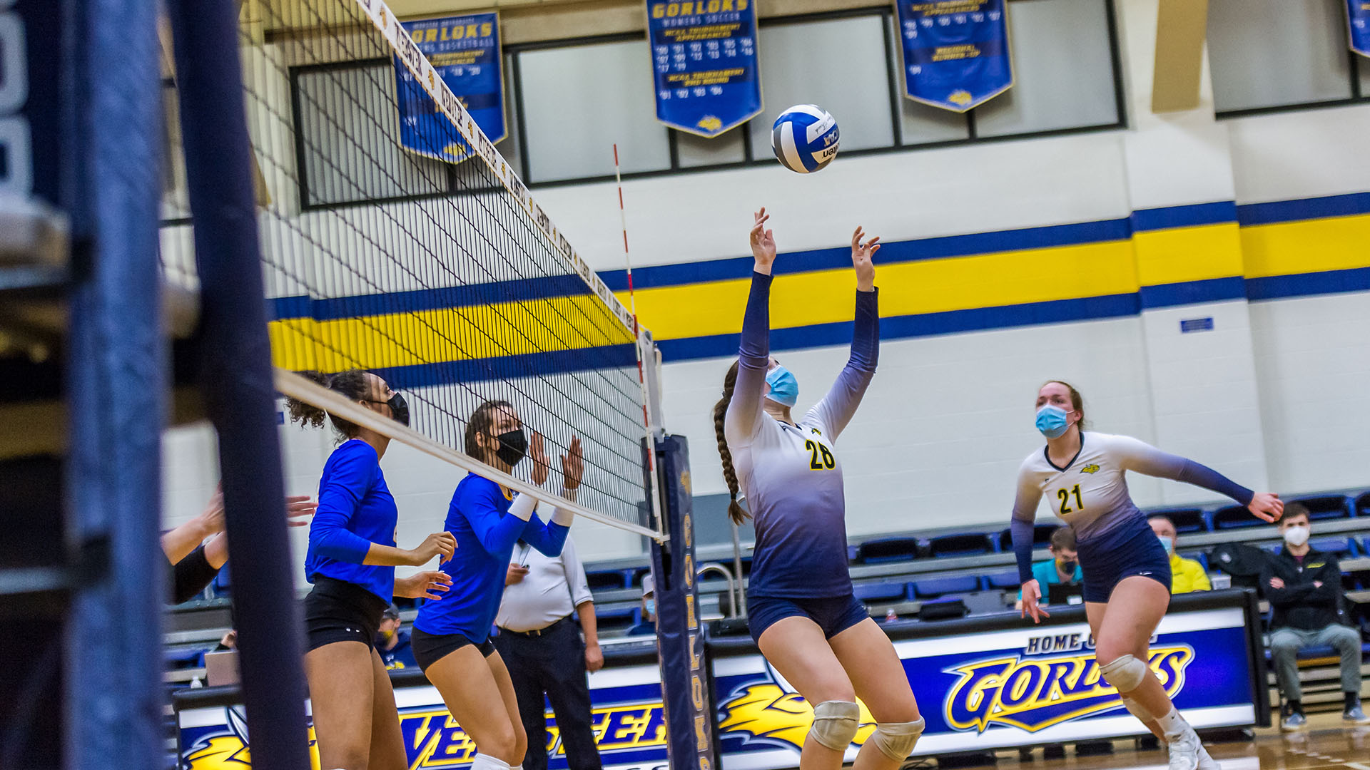Alexis Wolf - Volleyball - Webster University Athletics