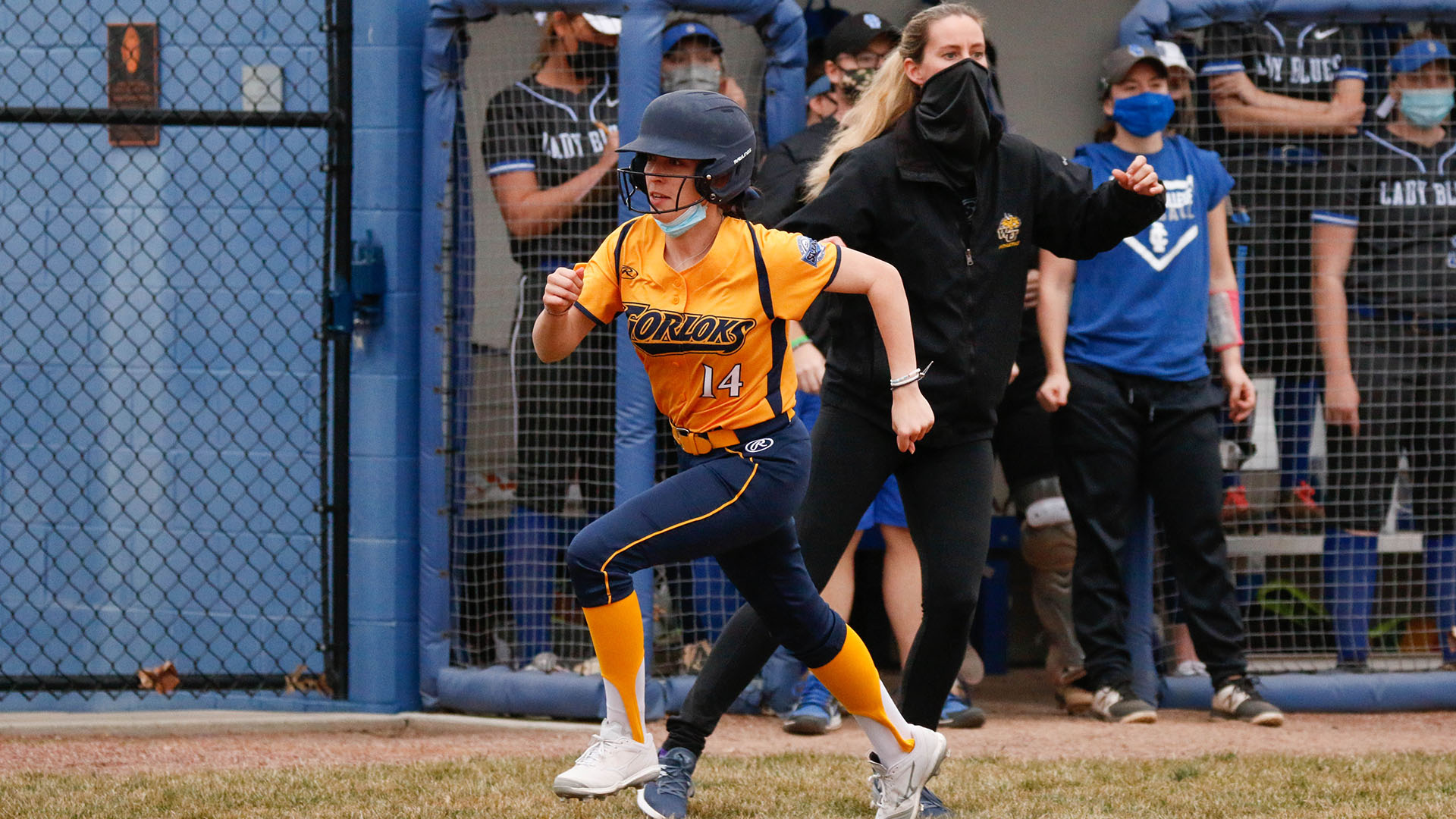 Kaelyn Kearney - Softball - Webster University Athletics