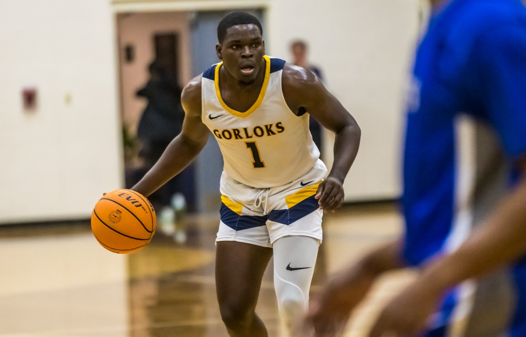 Gorloks Fall at Home to Tigers - Webster University Athletics