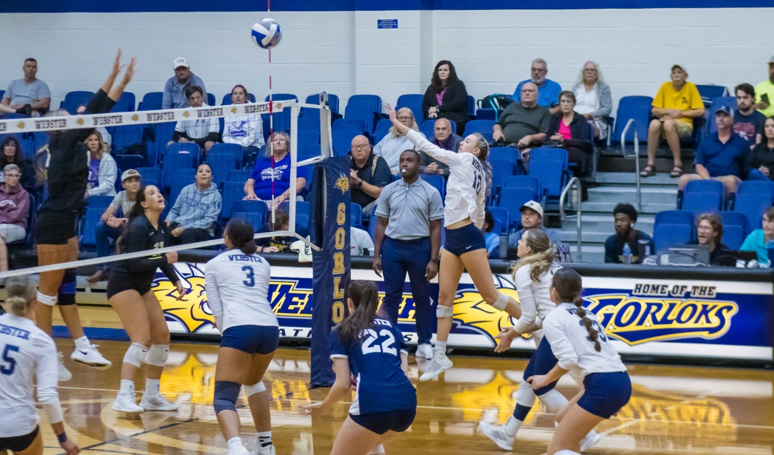 Gorloks Drop Final Two Matches of Regular Season - Webster University ...